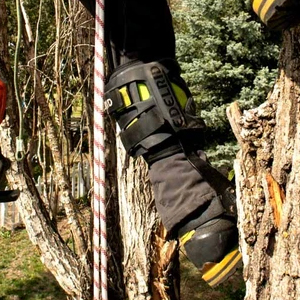 Edelrid Climbing Spikes | ForestAndArb