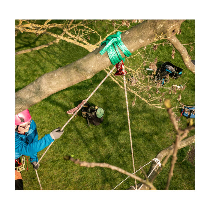 Stein Lowering Devices | ForestAndArb