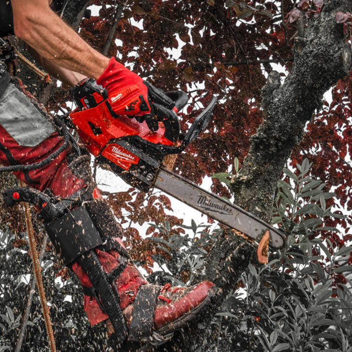 Welcome to ForestAndArb.com!