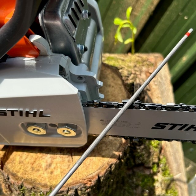 How To File Chainsaw Guides at Milla Stelzer blog