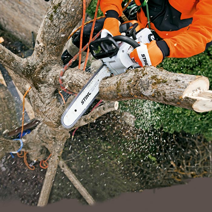 Welcome to ForestAndArb.com!