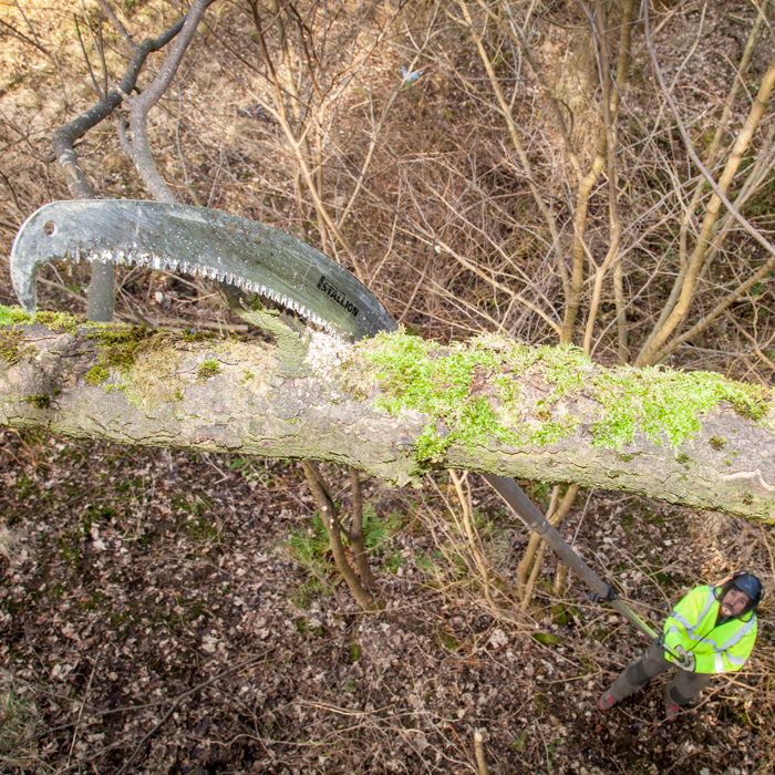 Cutting Edge Pruning Saws
