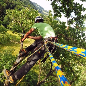 Teufelberger Climbing Ropes & Rope Care | ForestAndArb